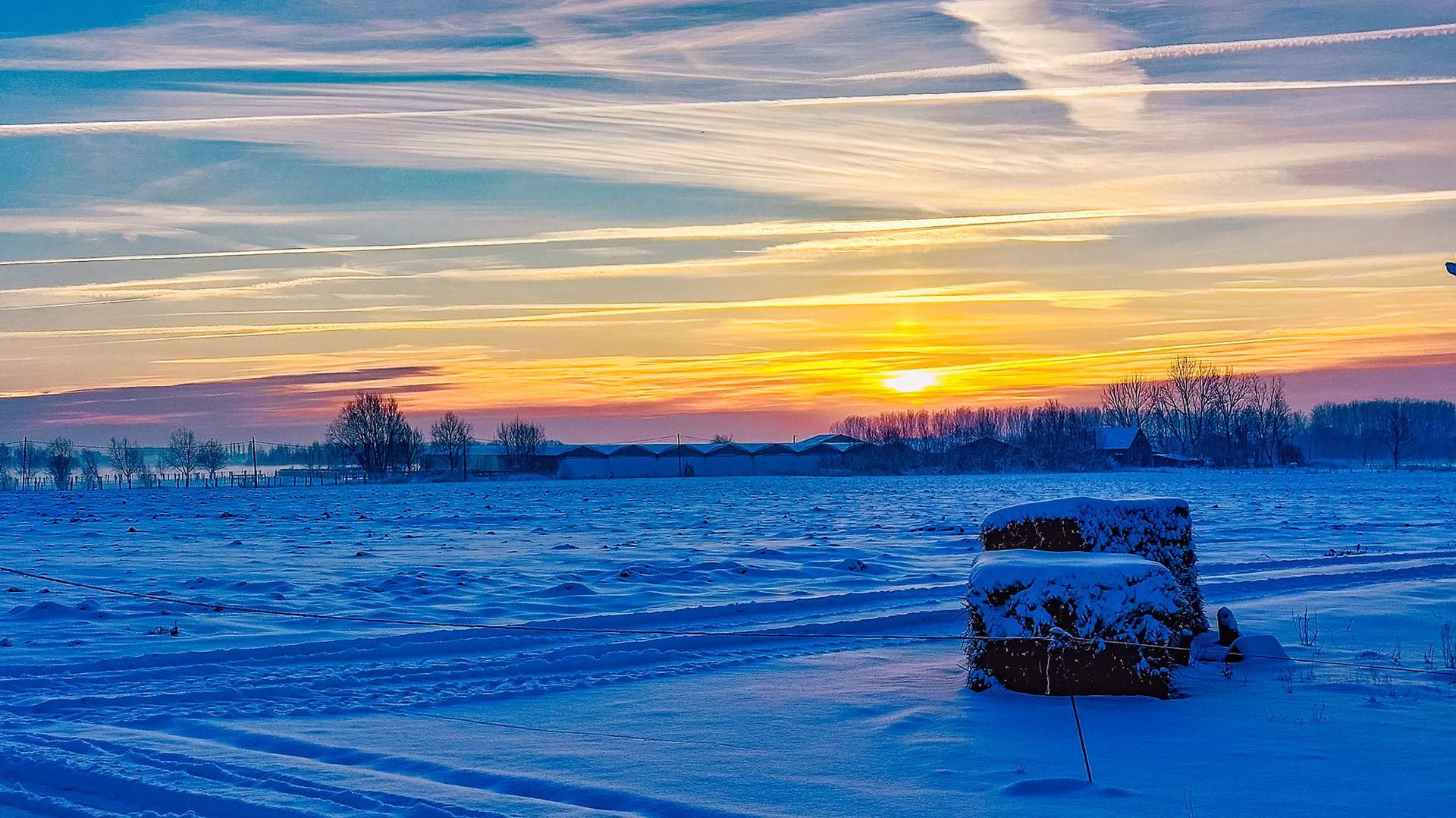 Neige en Belgique : coup d'œil sur vos plus belles photos - RTBF Actus