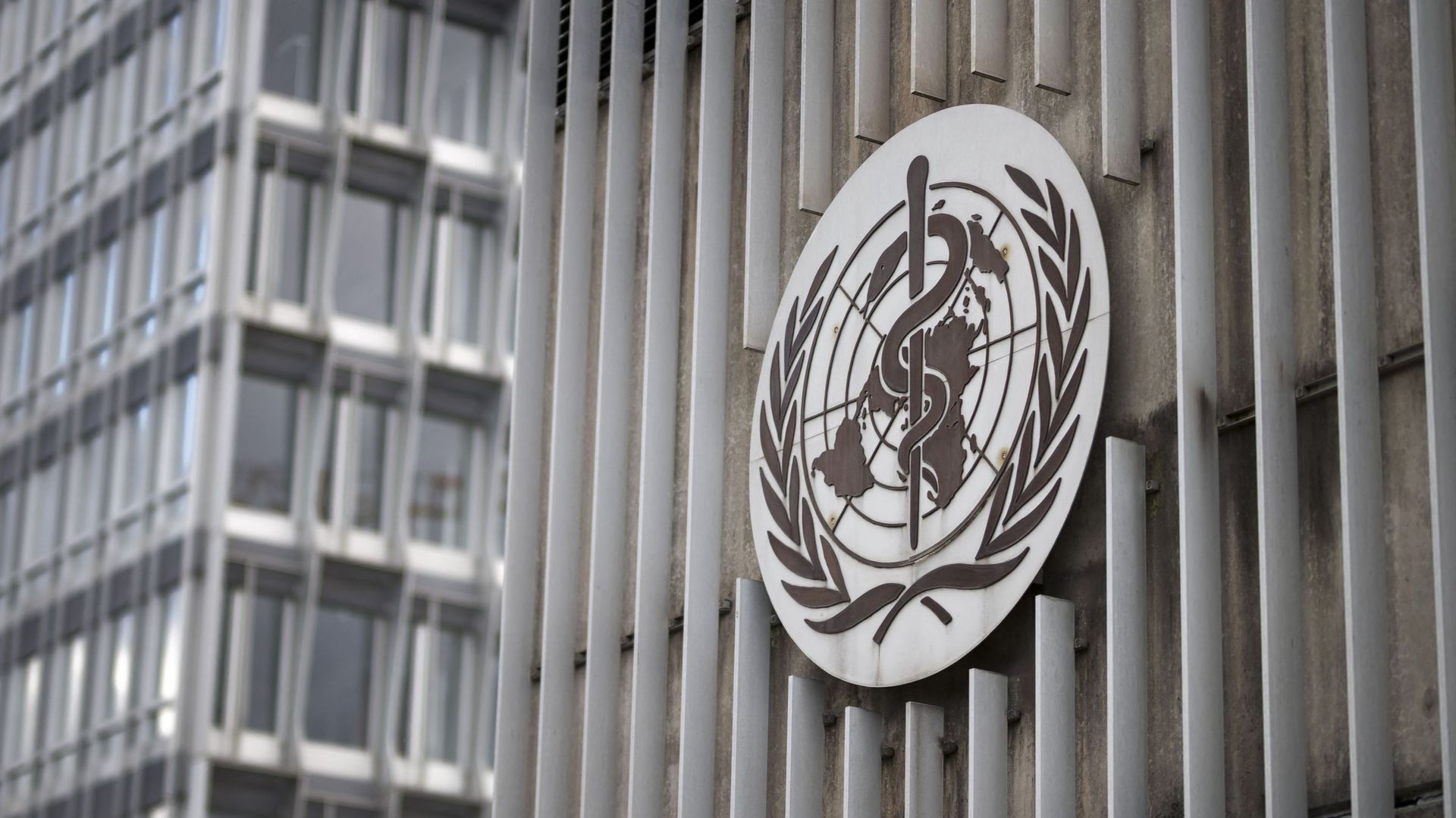 Santé : l’OMS appelle les Etats-Unis à revoir la suspension du ...