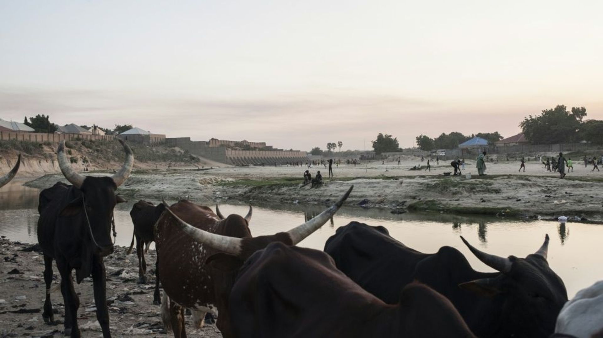 Réchauffement climatique: ouverture d'une conférence pour sauver le lac ...
