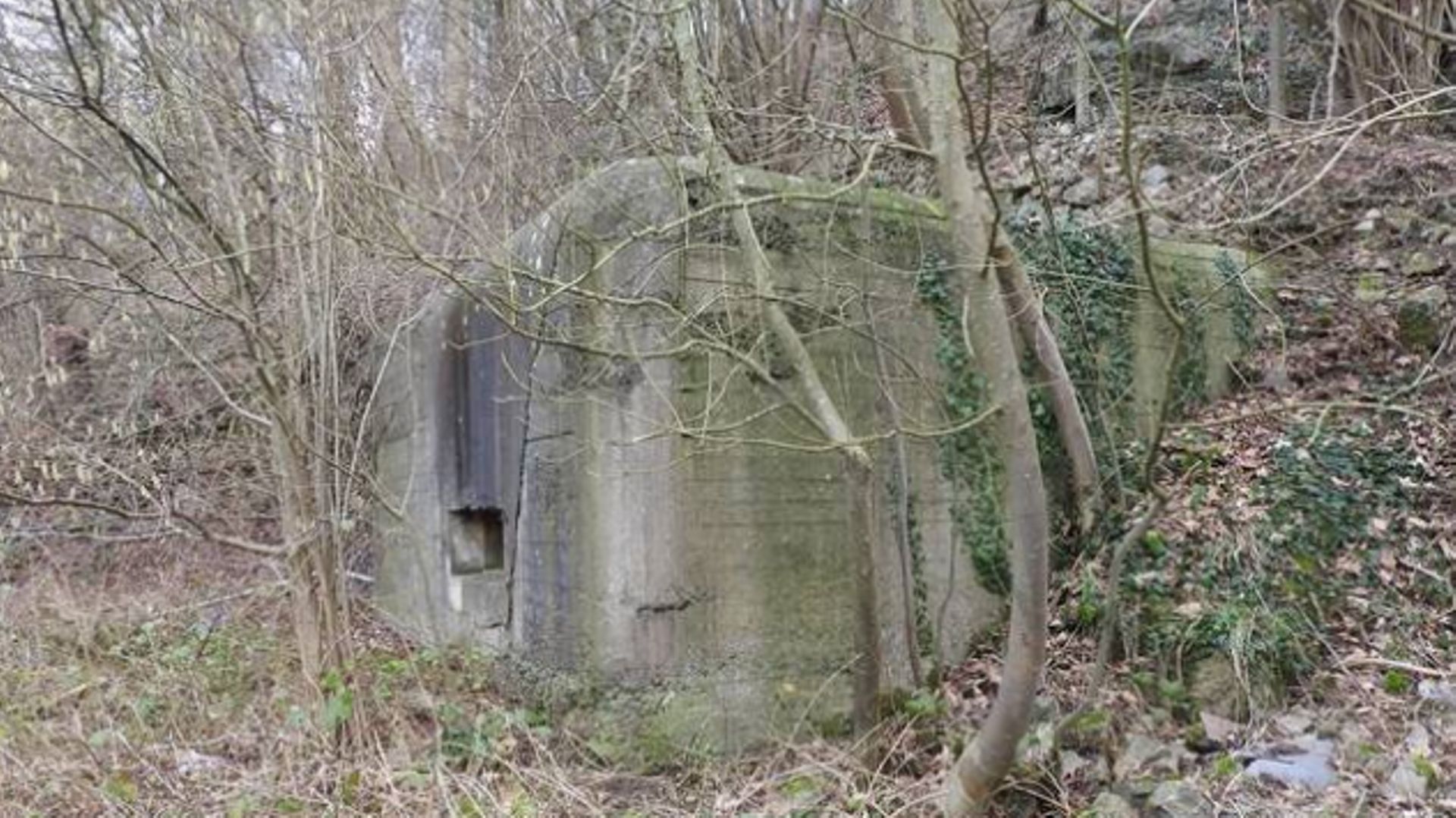 Les bunkers ont trouvé acquéreurs - RTBF Actus