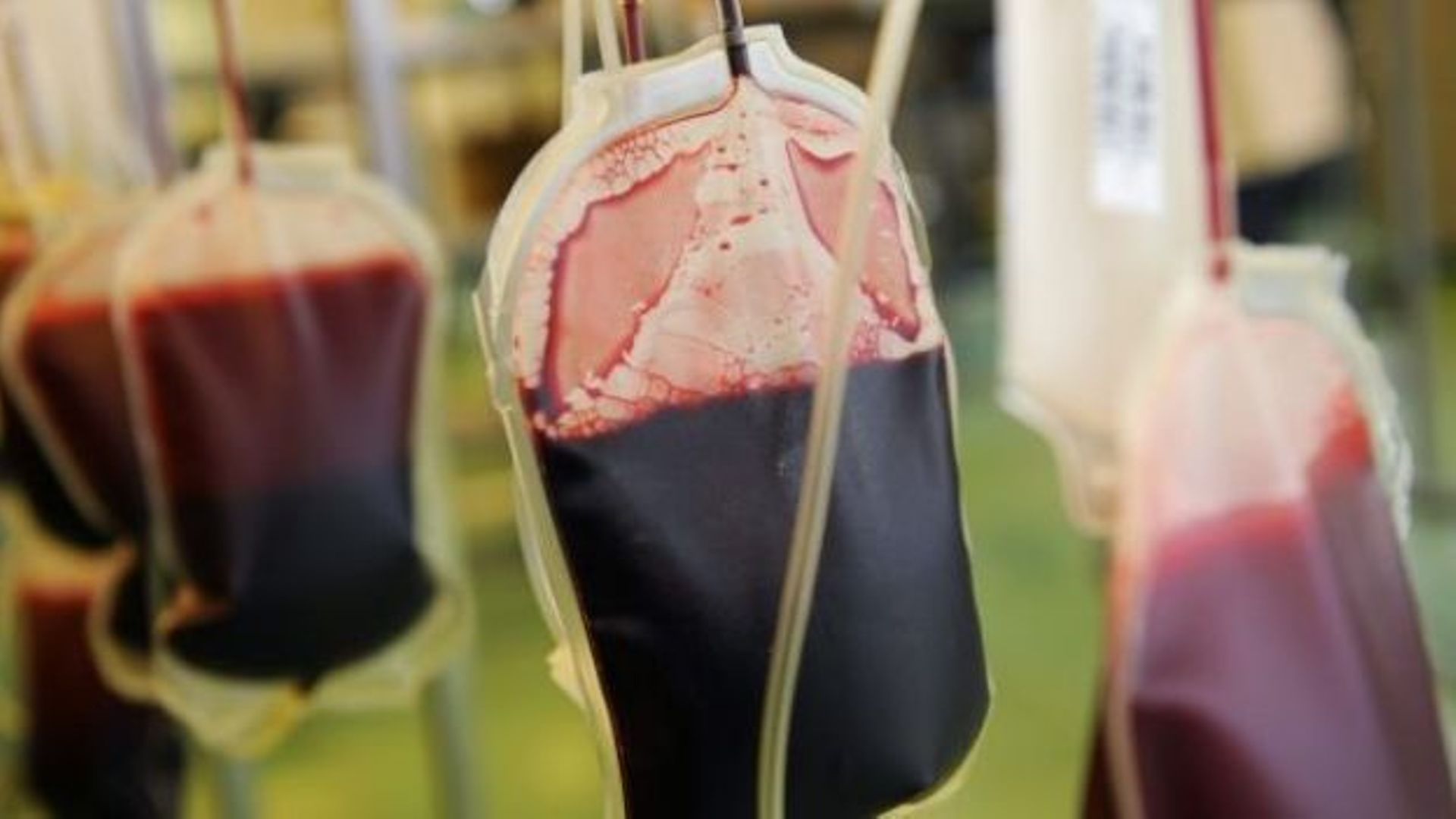 La Croix-Rouge lance un nouvel appel aux dons de sang - RTBF Actus