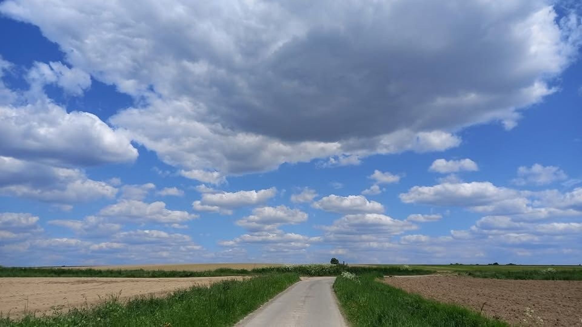 Météo en Belgique : soleil et grande douceur ce jeudi - RTBF Actus