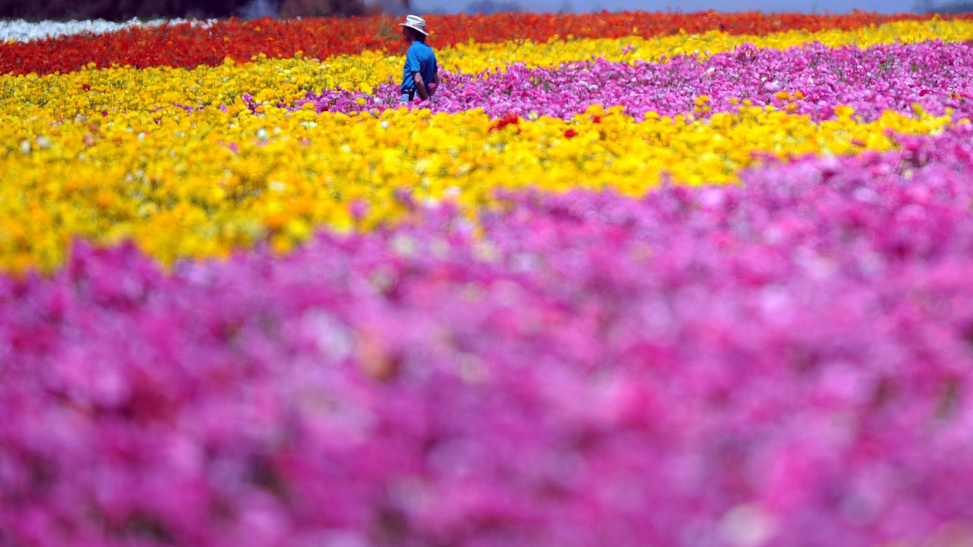 Le top 5 des bonnes nouvelles de la semaine : faites le plein de calme ...