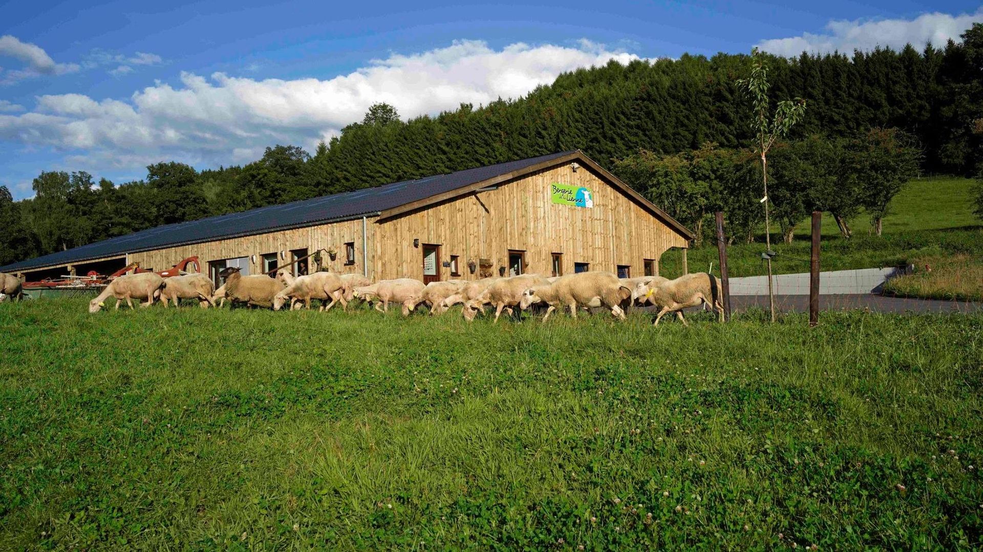 Lierneux : La Bergerie de la Lienne - RTBF Actus