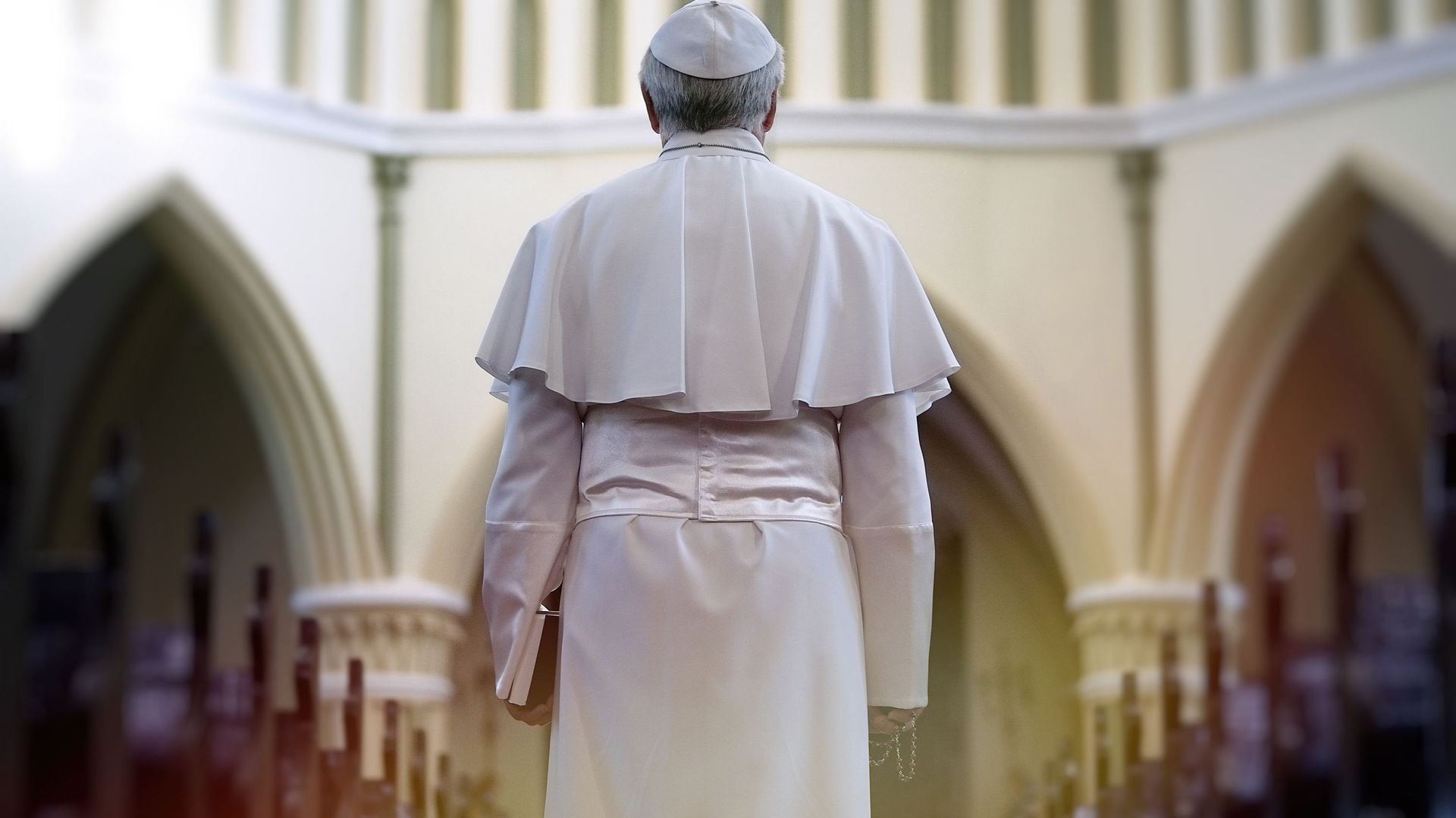 Vol au-dessus d’un nid de cardinaux : la mouette du conclave et la ...