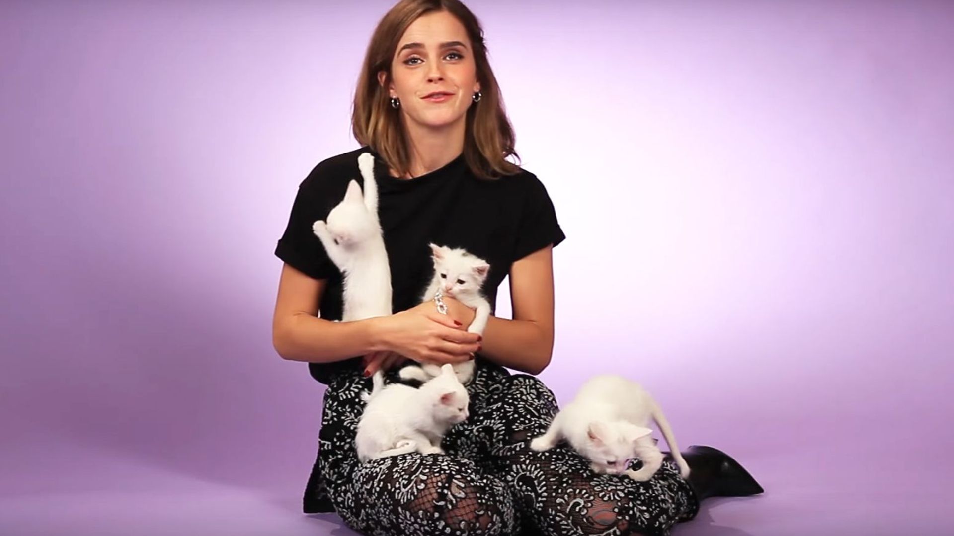 Absurde et génial à la fois: l'interview avec chatons d'Emma Watson ...