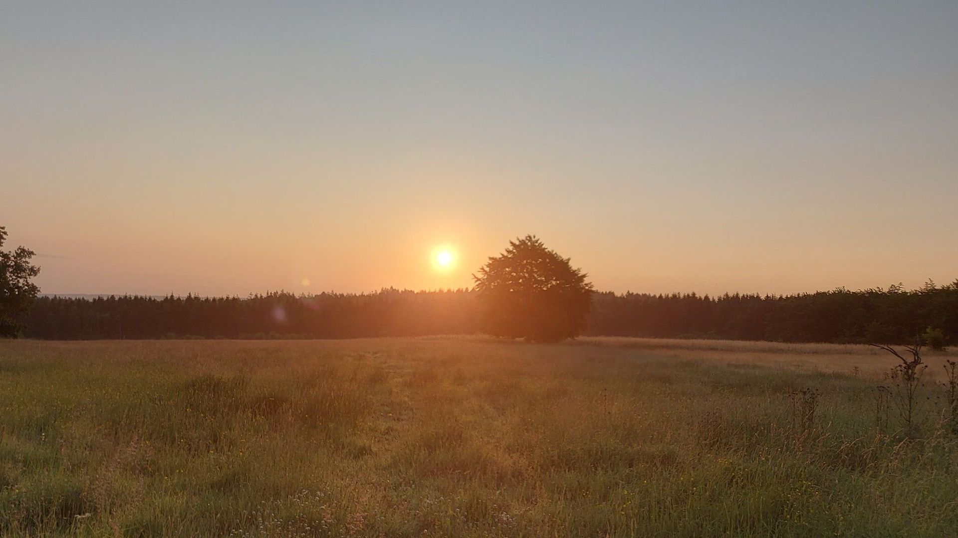 Météo en Belgique : jusqu’à 33 voire 34 °C cet après-midi - RTBF Actus