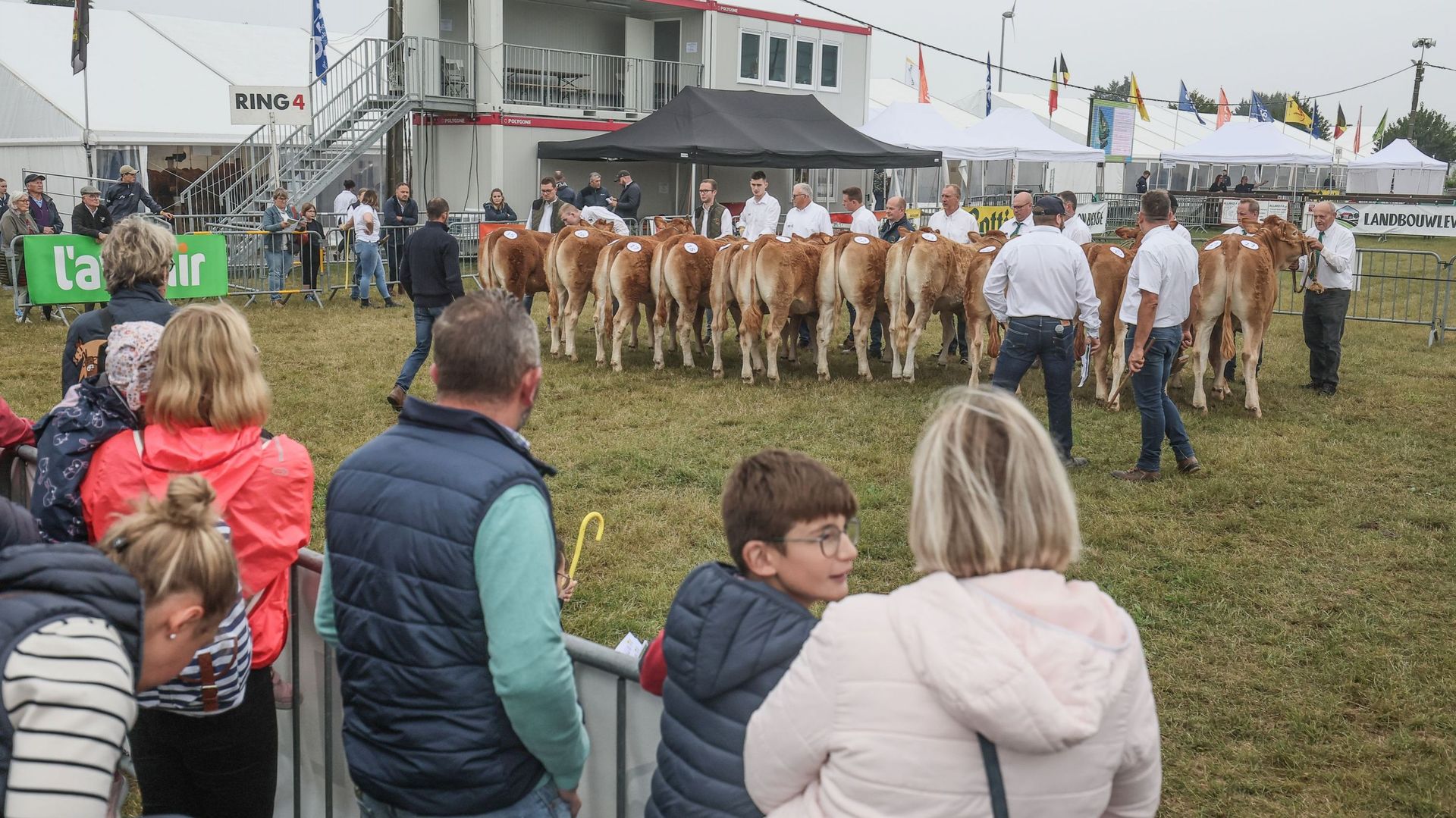 Foire de Libramont 2025 : un événement qui attire tous les publics ...
