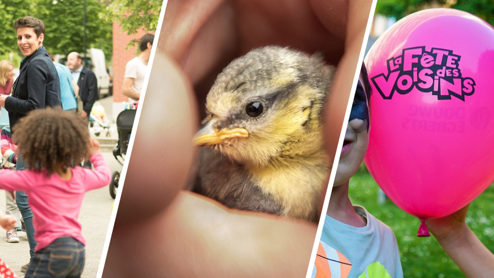 Les activités du week-end du 7 au 9 juin en Wallonie et à Bruxelles ...