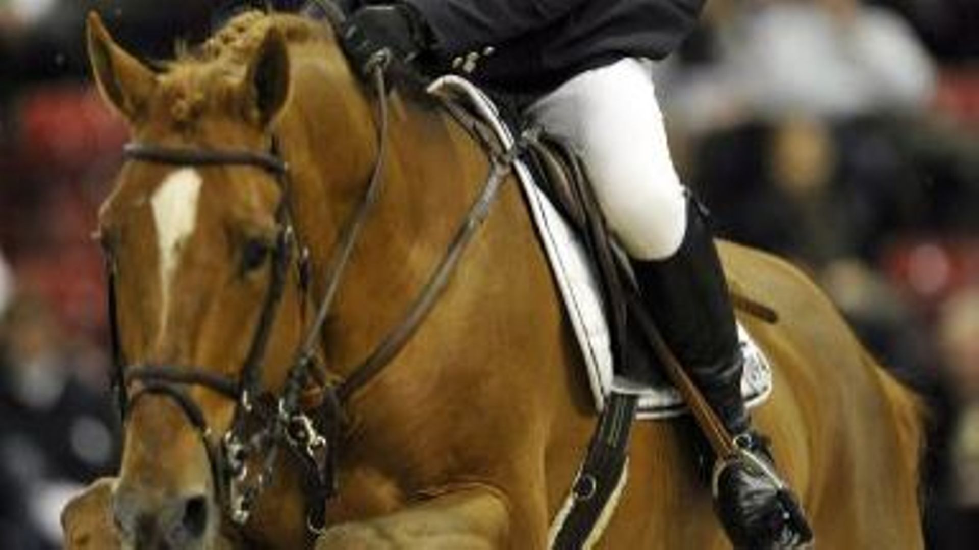 Miranda gagne à Genève, Le Jeune 32e - RTBF Actus