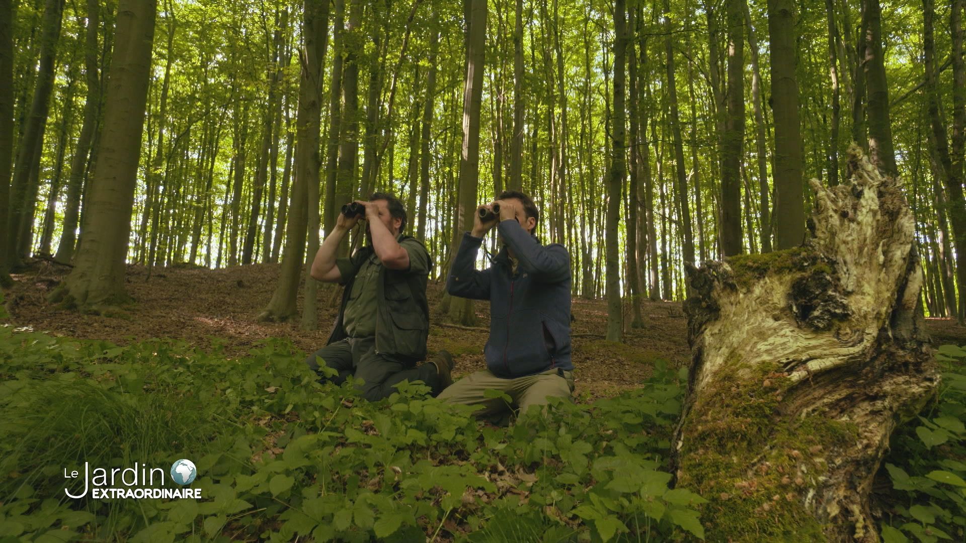 Portrait d'un garde forestier - RTBF Actus