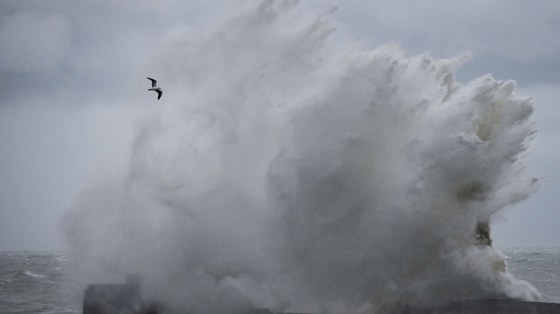 Tempête Ciarán : au moins 10 morts et d’importants dégâts un peu ...