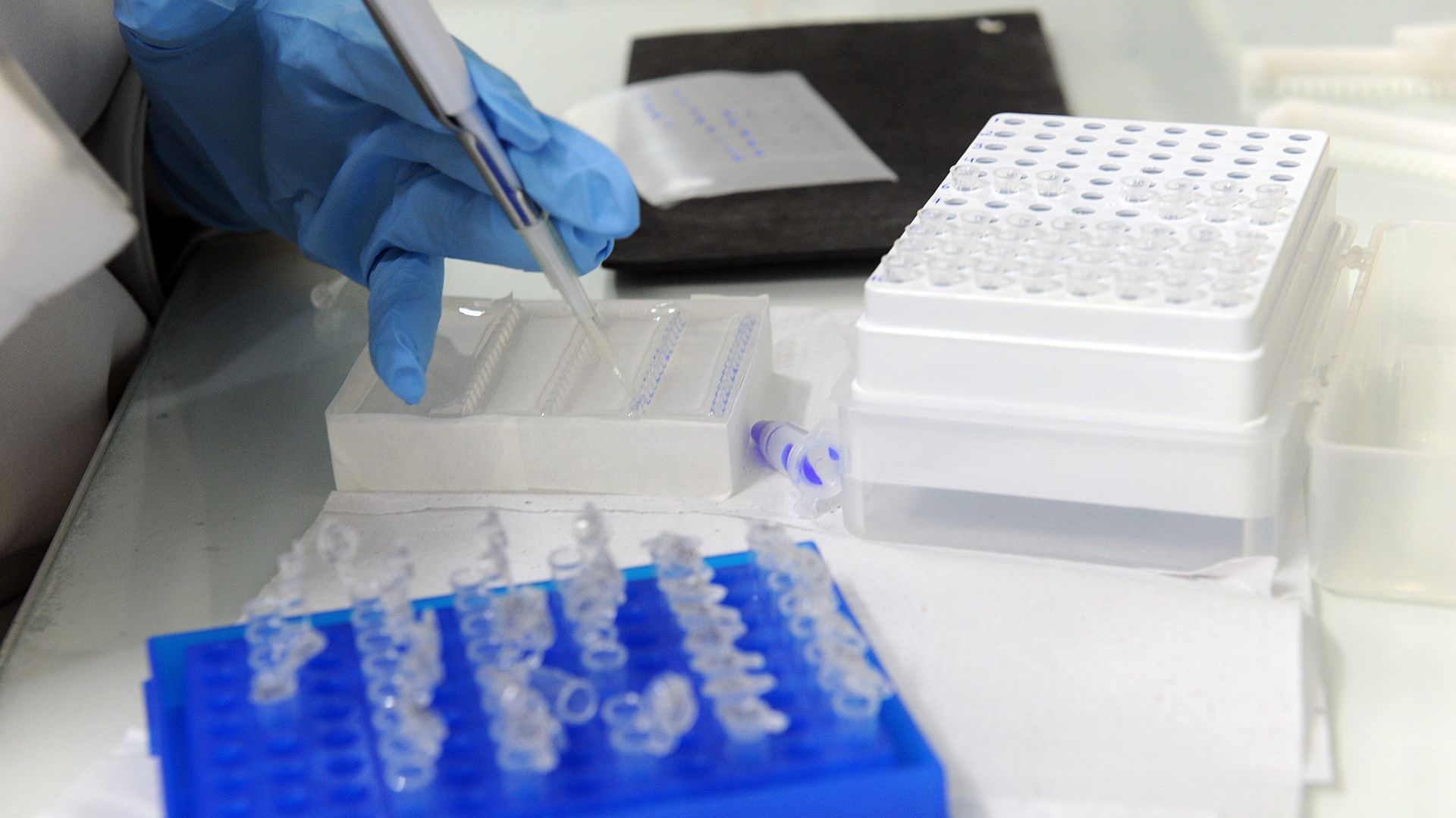 Une Belge en flagrant délit de fraude scientifique aux Pays-Bas - RTBF ...