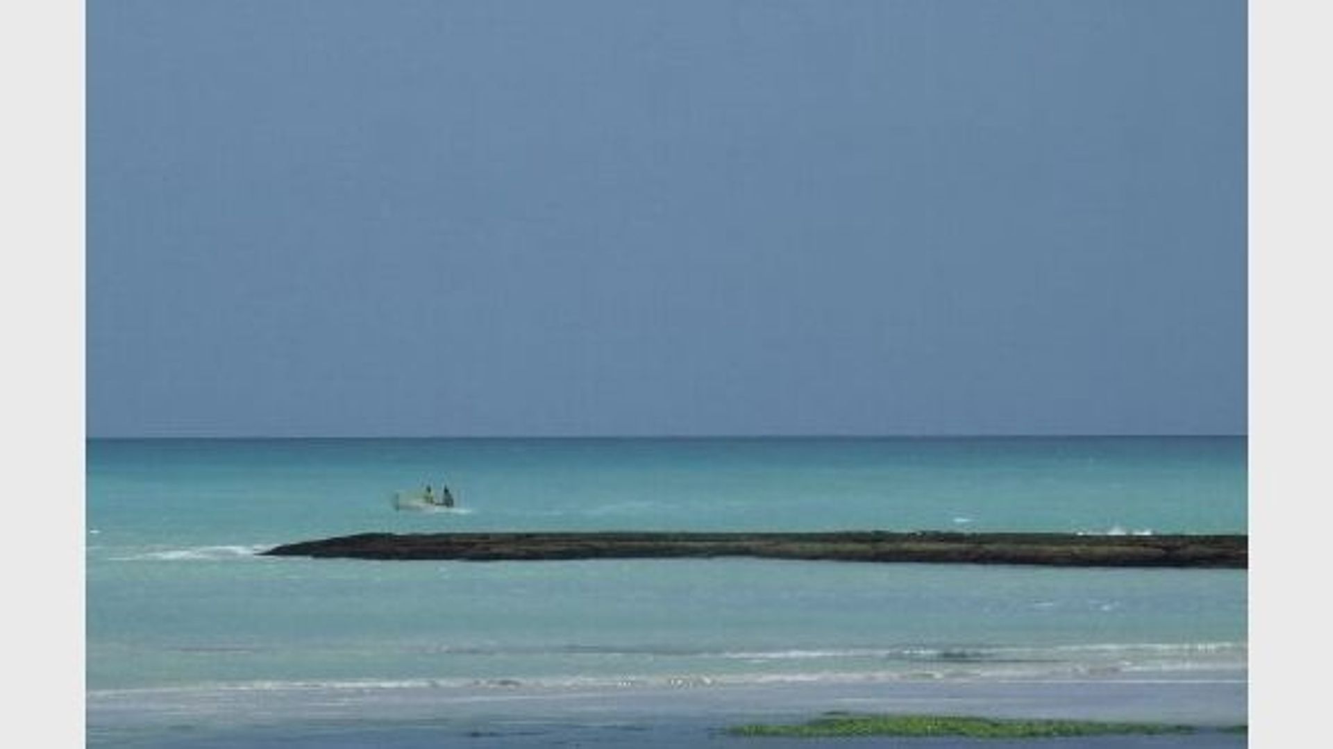 Planète : Google Ocean