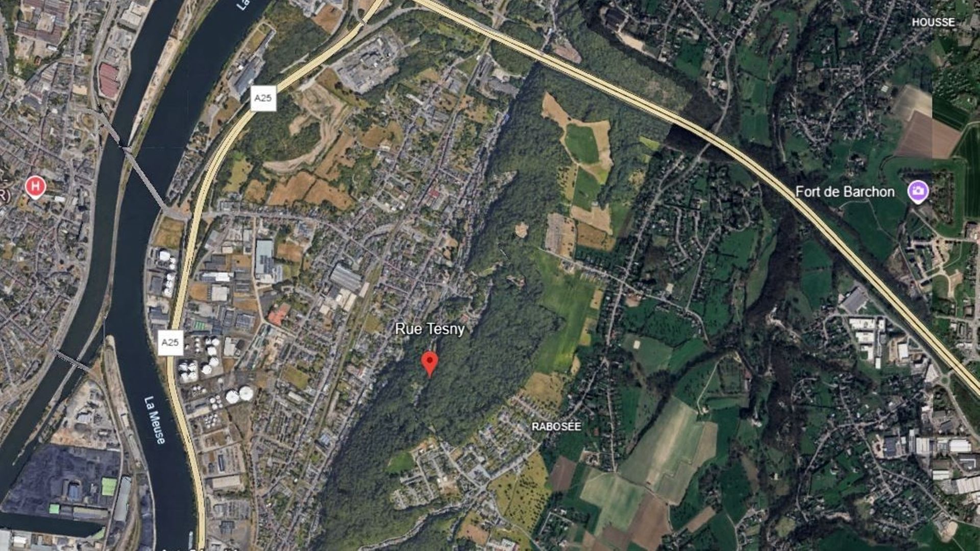 Le bois de Wandre bientôt réserve naturelle ? - RTBF Actus