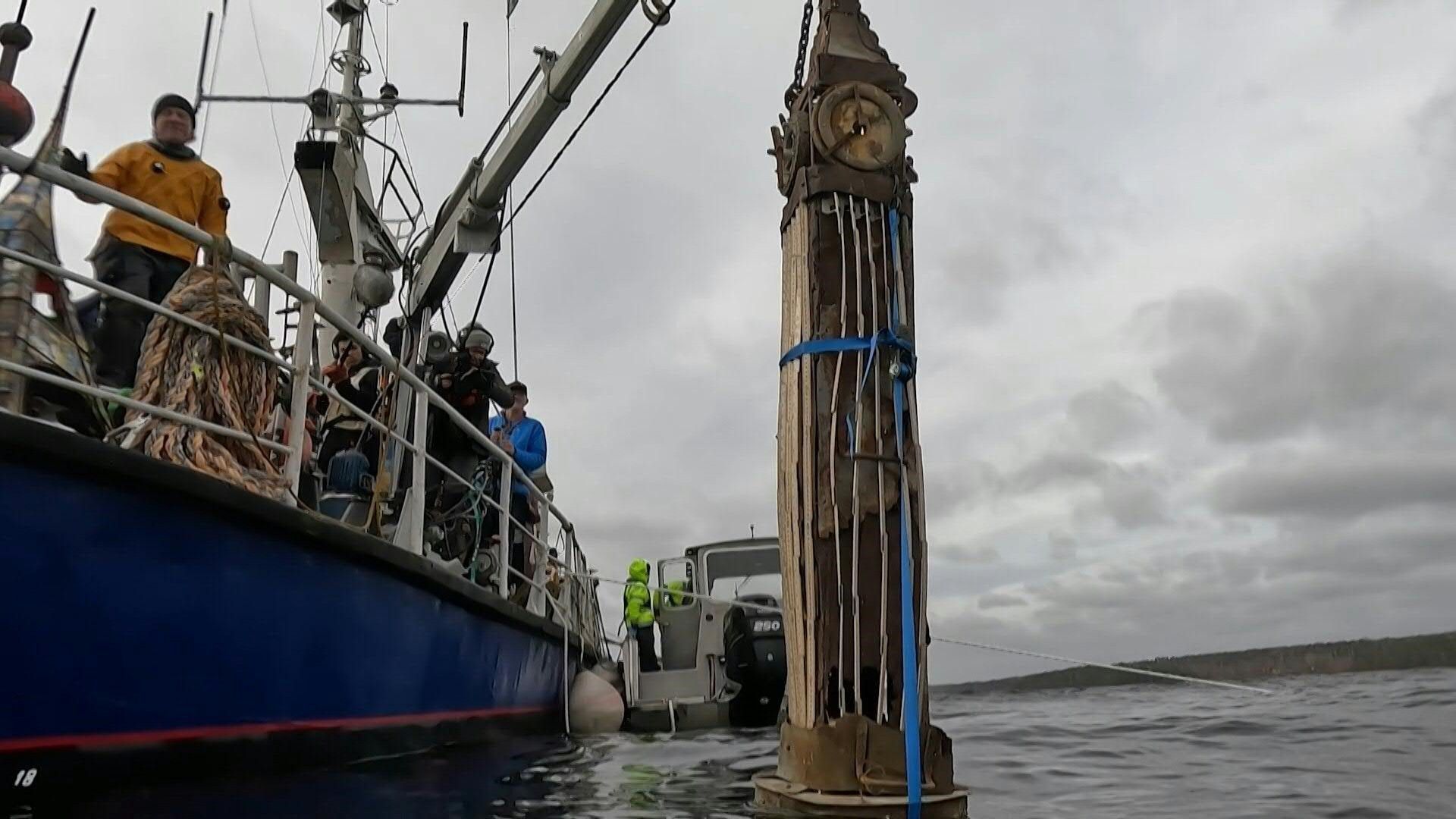 La migration des élans, en direct à la télévision suédoise : un succès d’audience qui interpelle ...