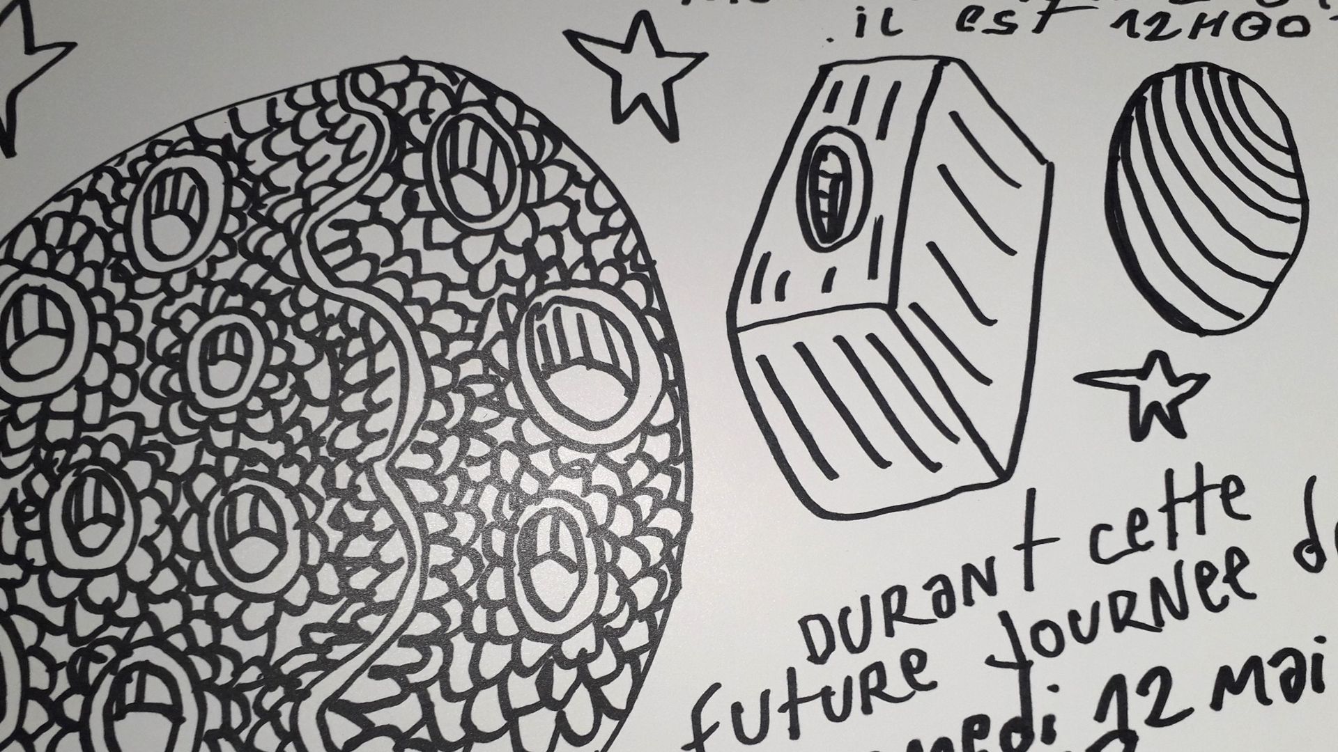 La minute insolite : un “platiste” prouve par erreur que la Terre est ...