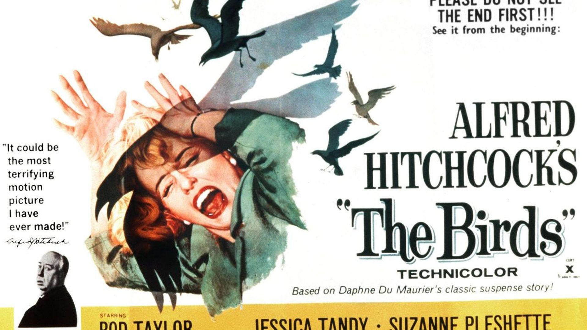 Dans les coulisses du film Les Oiseaux, d’Alfred Hitchcock - RTBF Actus