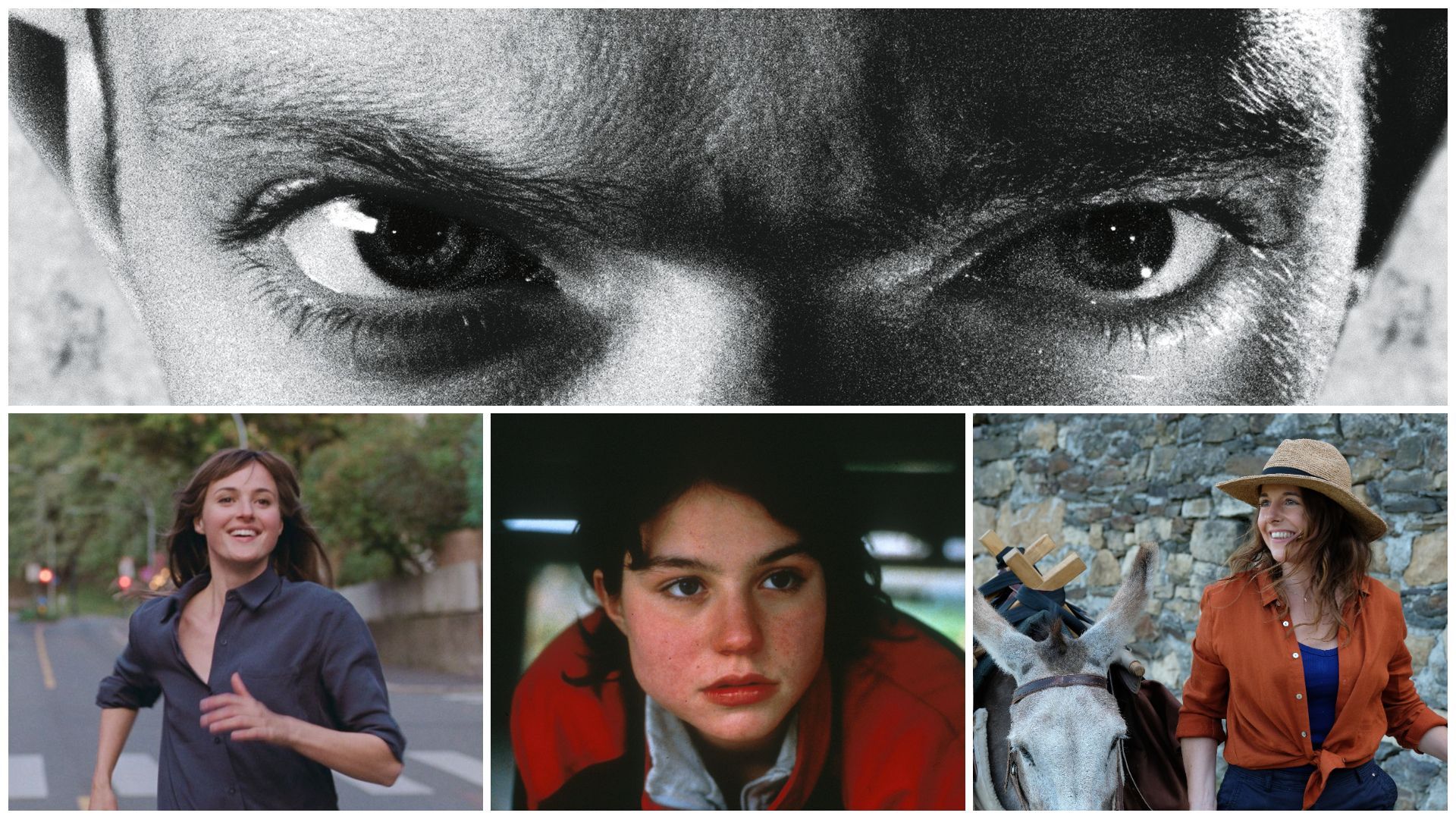 Il y a 50 ans sortait 'Sacré Graal' des Monty Python : pourquoi reste-t ...