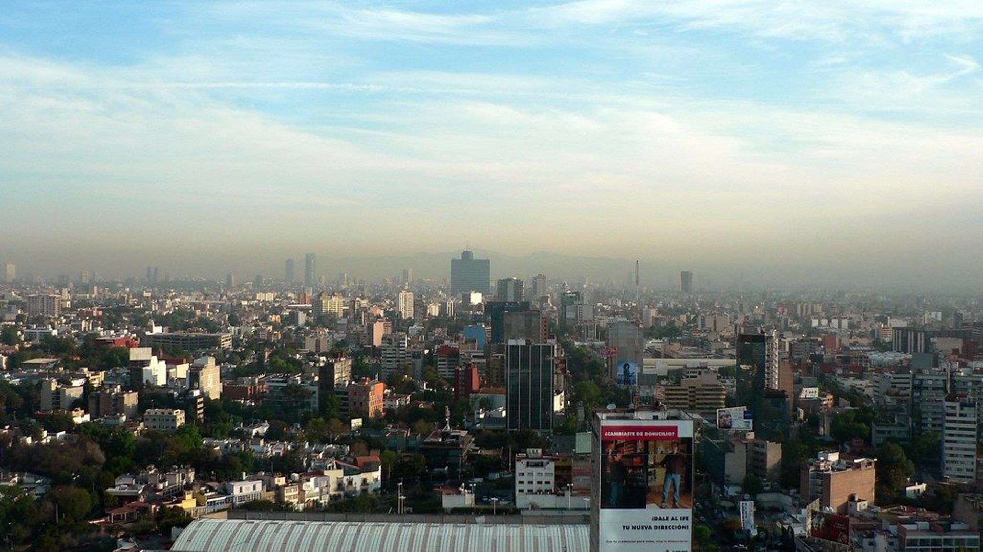 Le Bellini, un cocktail qui vous fait voyager! - RTBF Actus