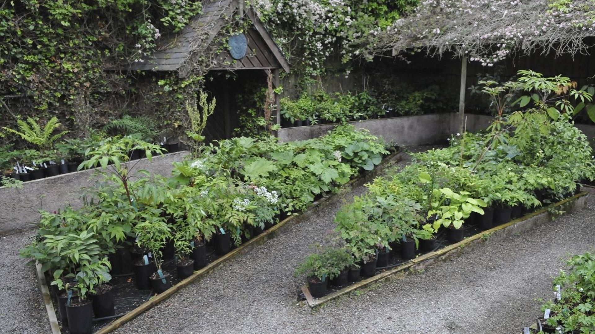 Crug Farm : la pépinière à tous vents - RTBF Actus