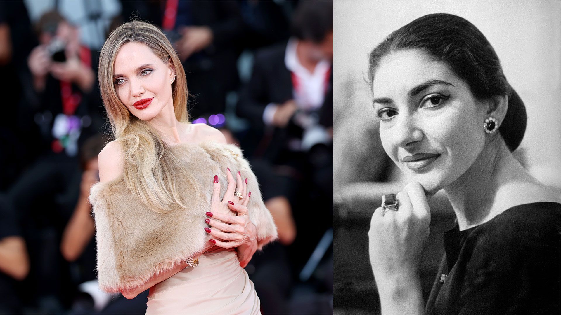 'Je me suis vraiment attachée à elle' : Angelina Jolie s’est entraînée ...