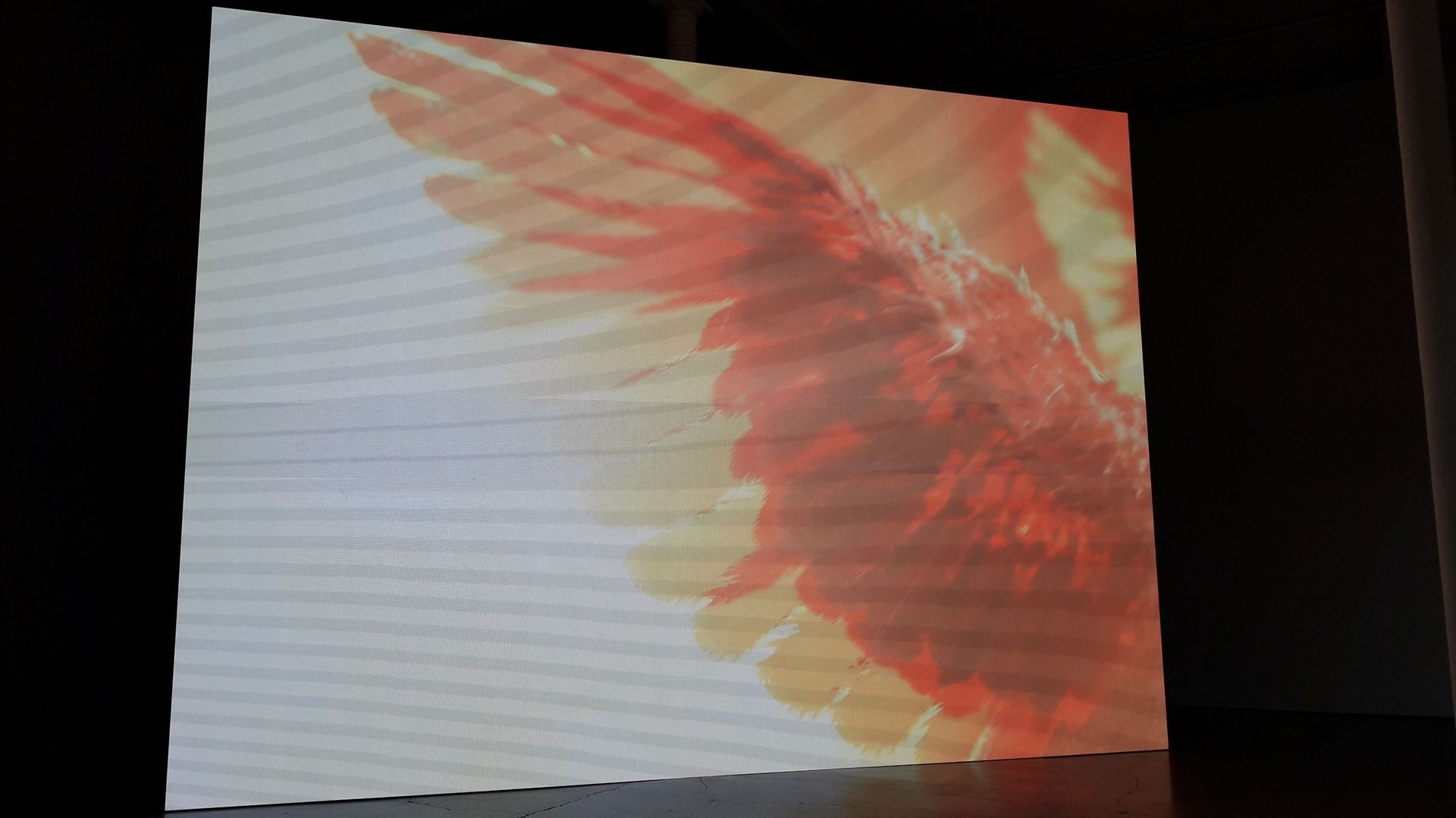 Birdsong, l'exposition de David Claerbout à découvrir à la galerie ...