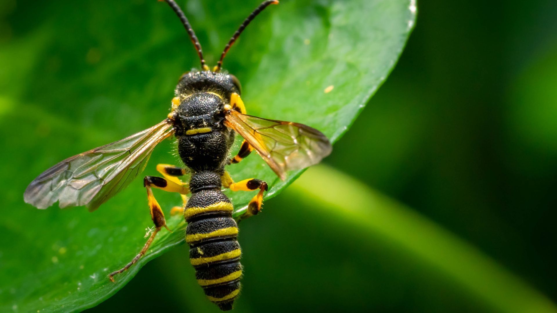 Amy ginger i ended up being almost a quarter hour late.