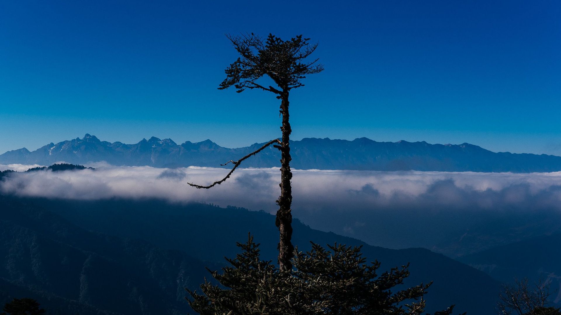 Jonathan Bradfer et Pascale Sury ont-ils trouvé les clefs du bonheur au ...