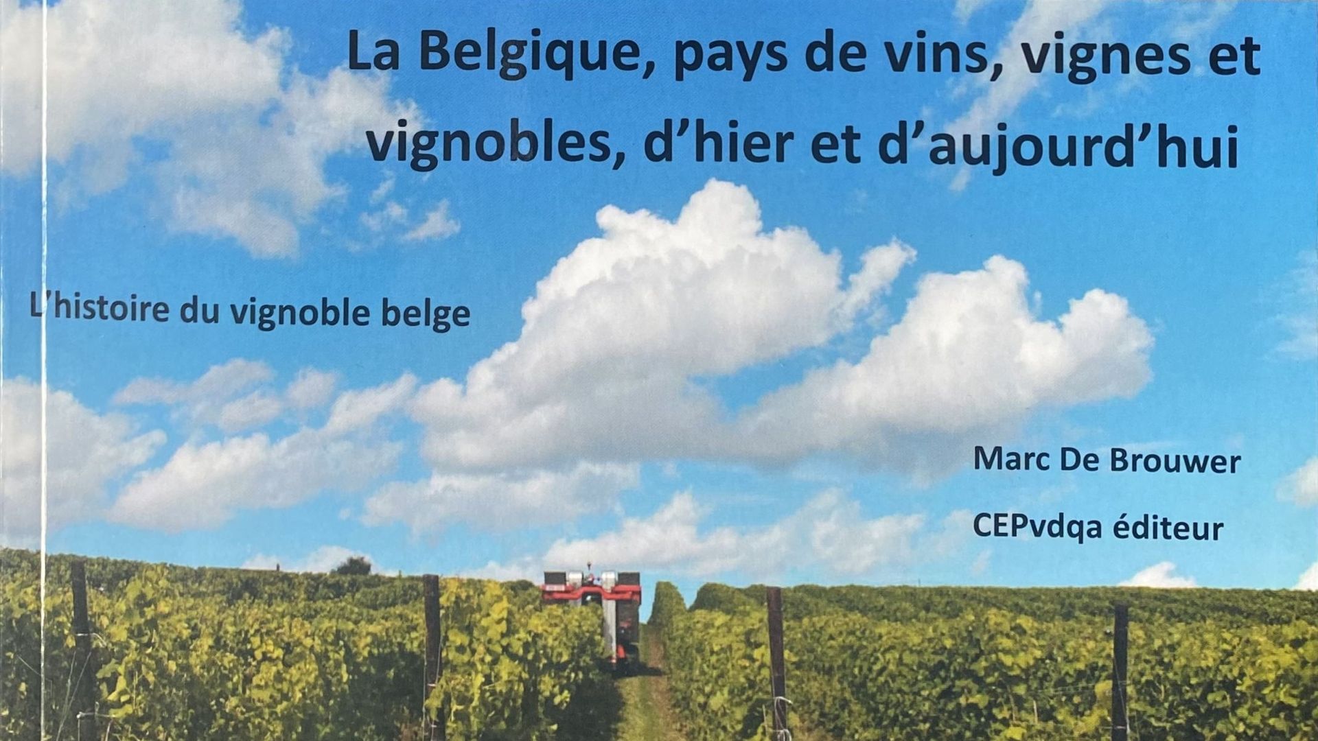 La véritable histoire du vignoble belge : une success story - RTBF Actus
