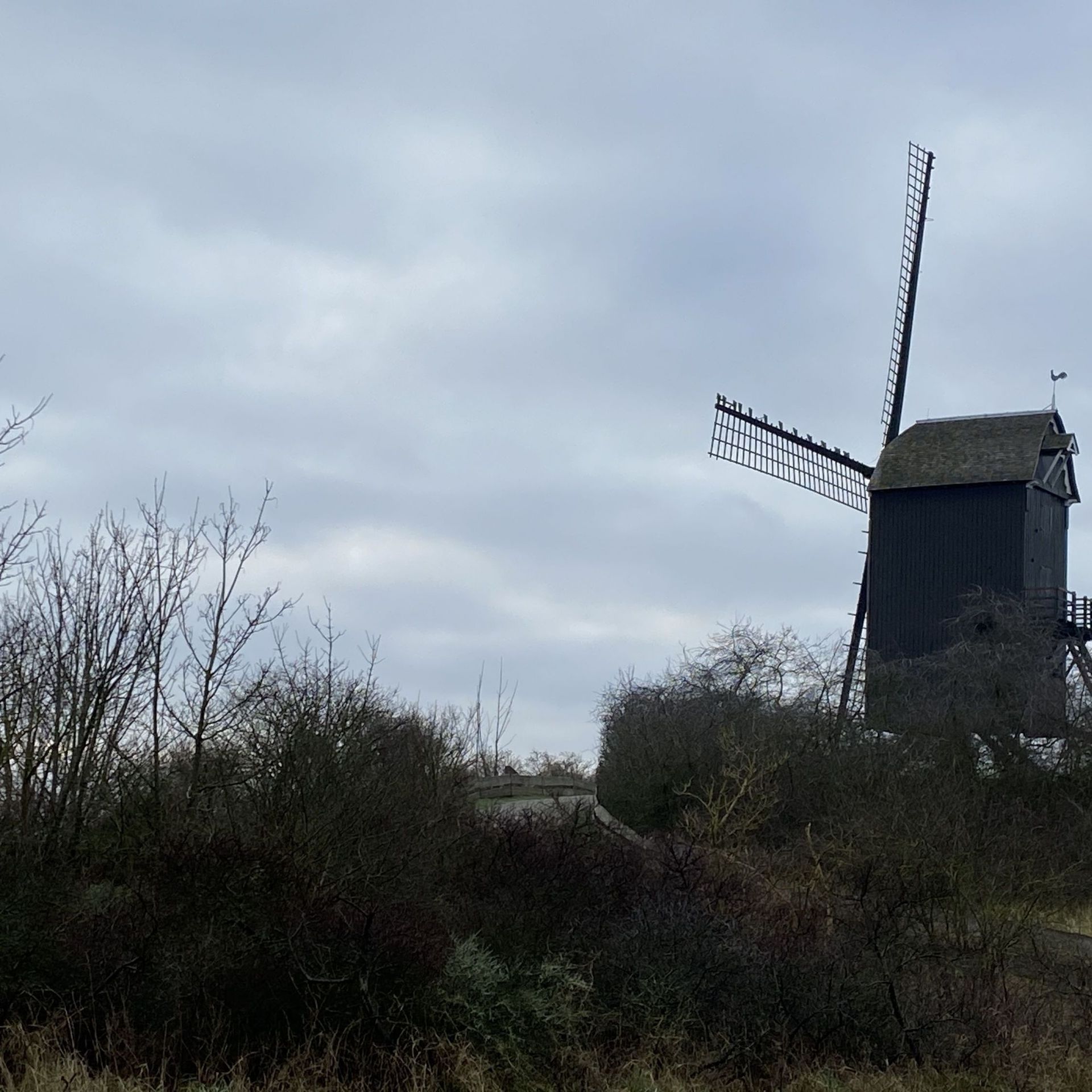 3 activités nature plutôt surprenantes à découvrir à Coxyde - RTBF Actus