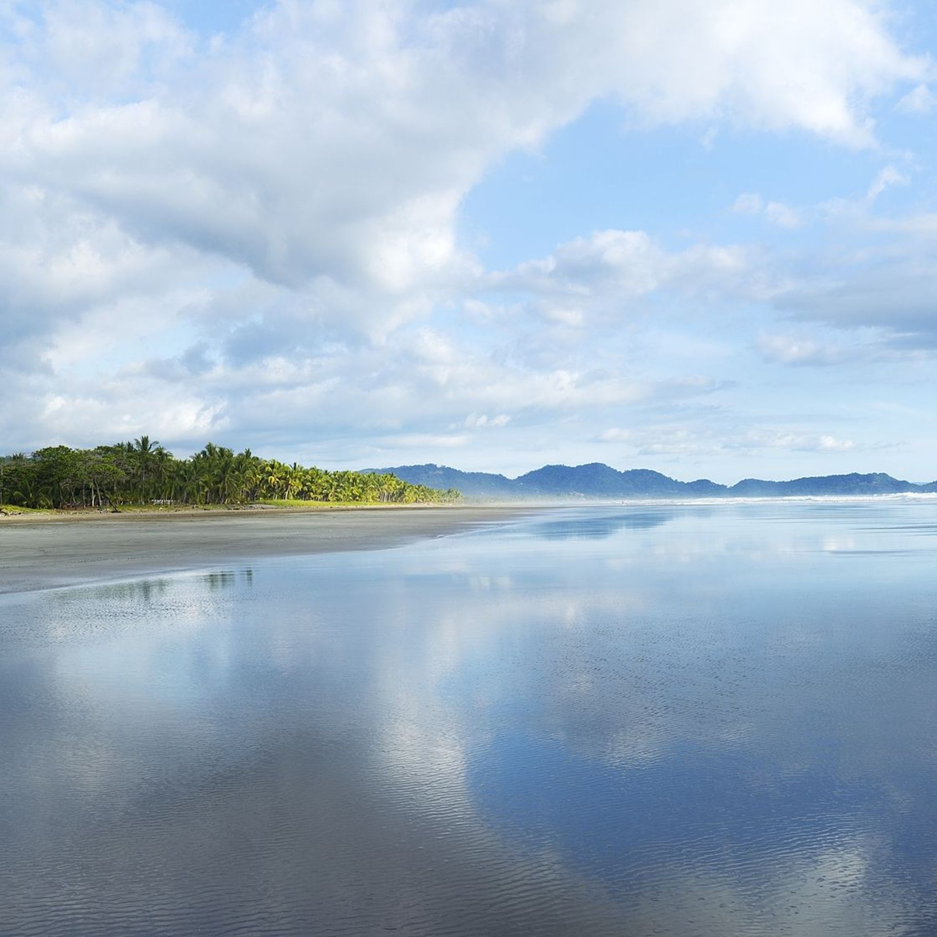 A découvrir sur La Première (du 2 au 8 février)
