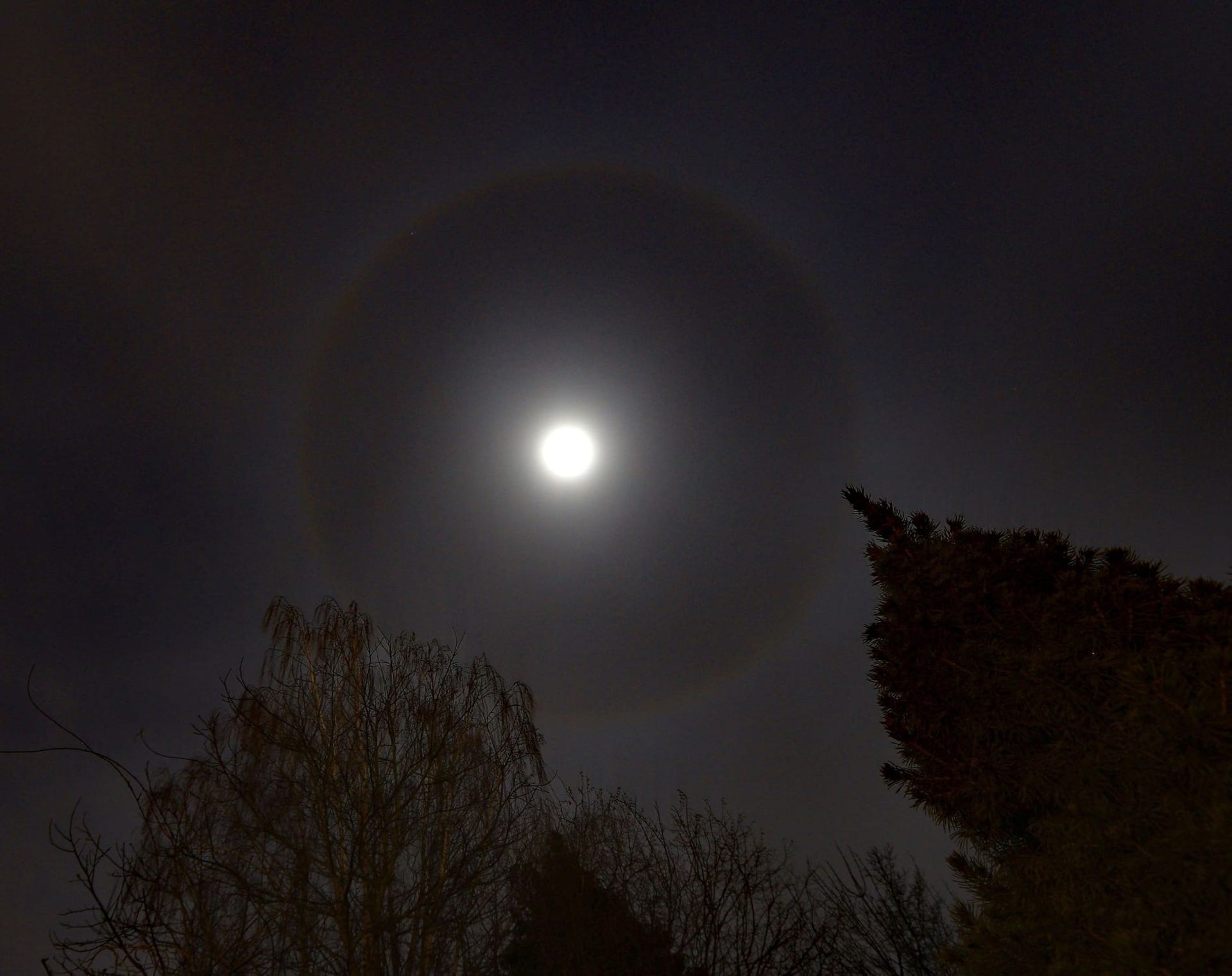 Halo lumineux autour de la Lune : comment expliquer ce phénomène ...
