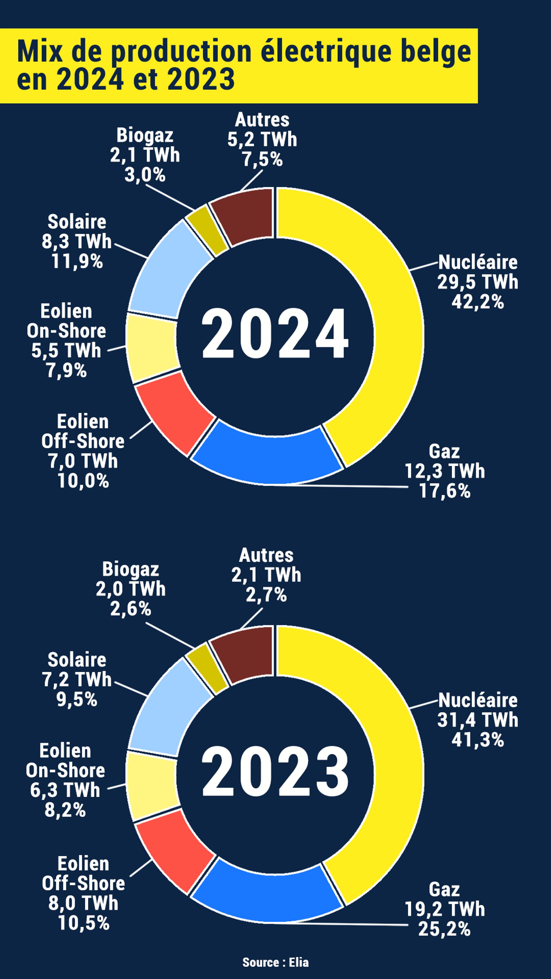 Bilan 'électricité' 2024 en Belgique : plus d’importations et plus de ...