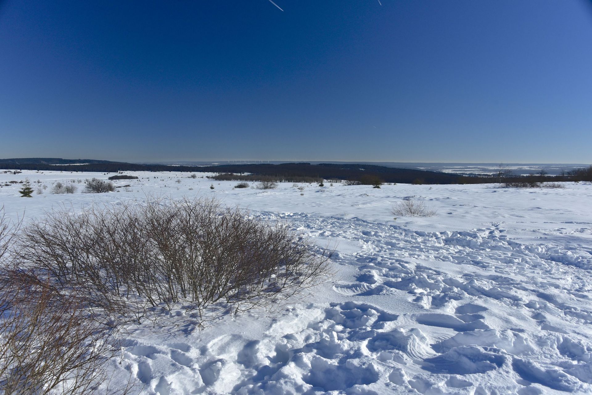 Réouverture des Fagnes ce week-end - RTBF Actus