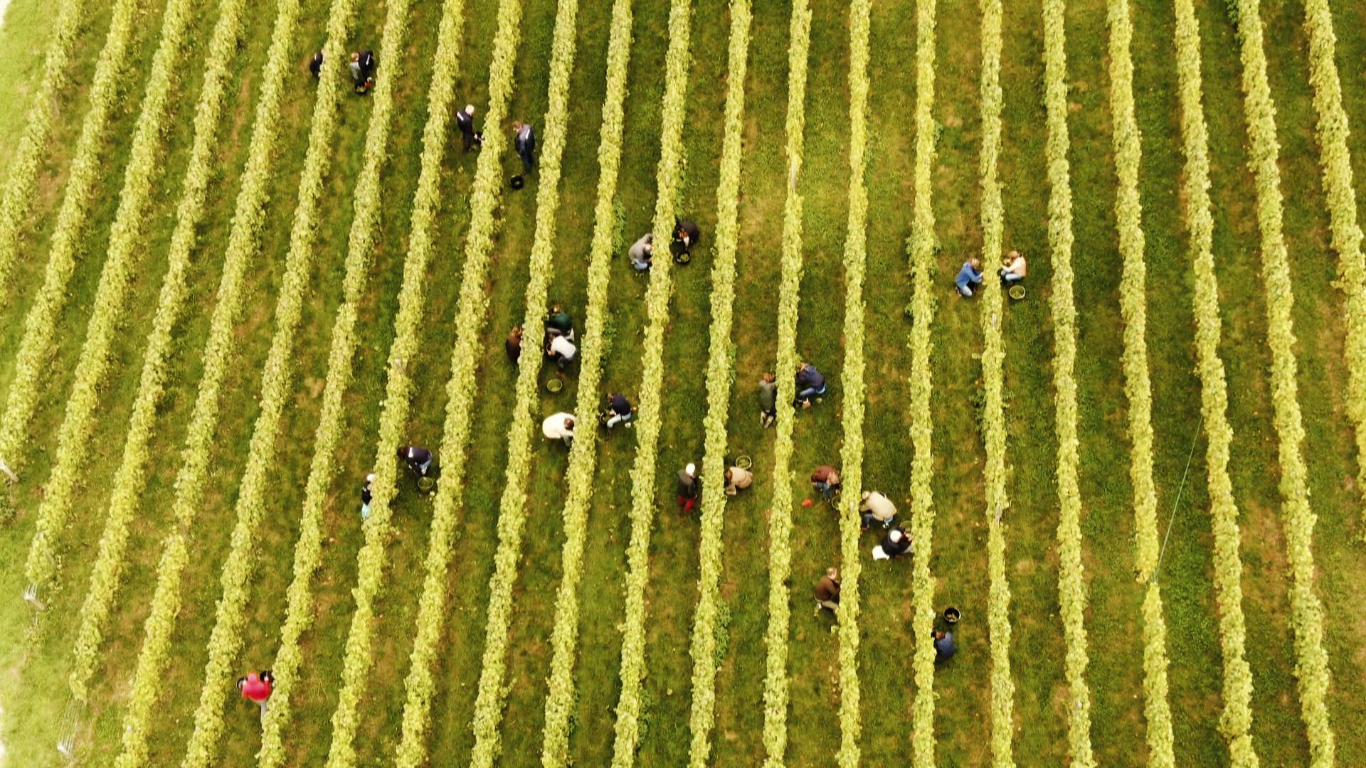 Genappe, la commune la plus étendue du Brabant wallon - RTBF Actus