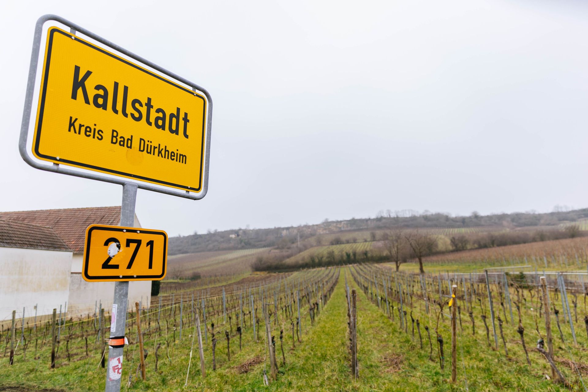 La part de l’autre ou quand l’Histoire expulsa Friedrich Trump… et ...