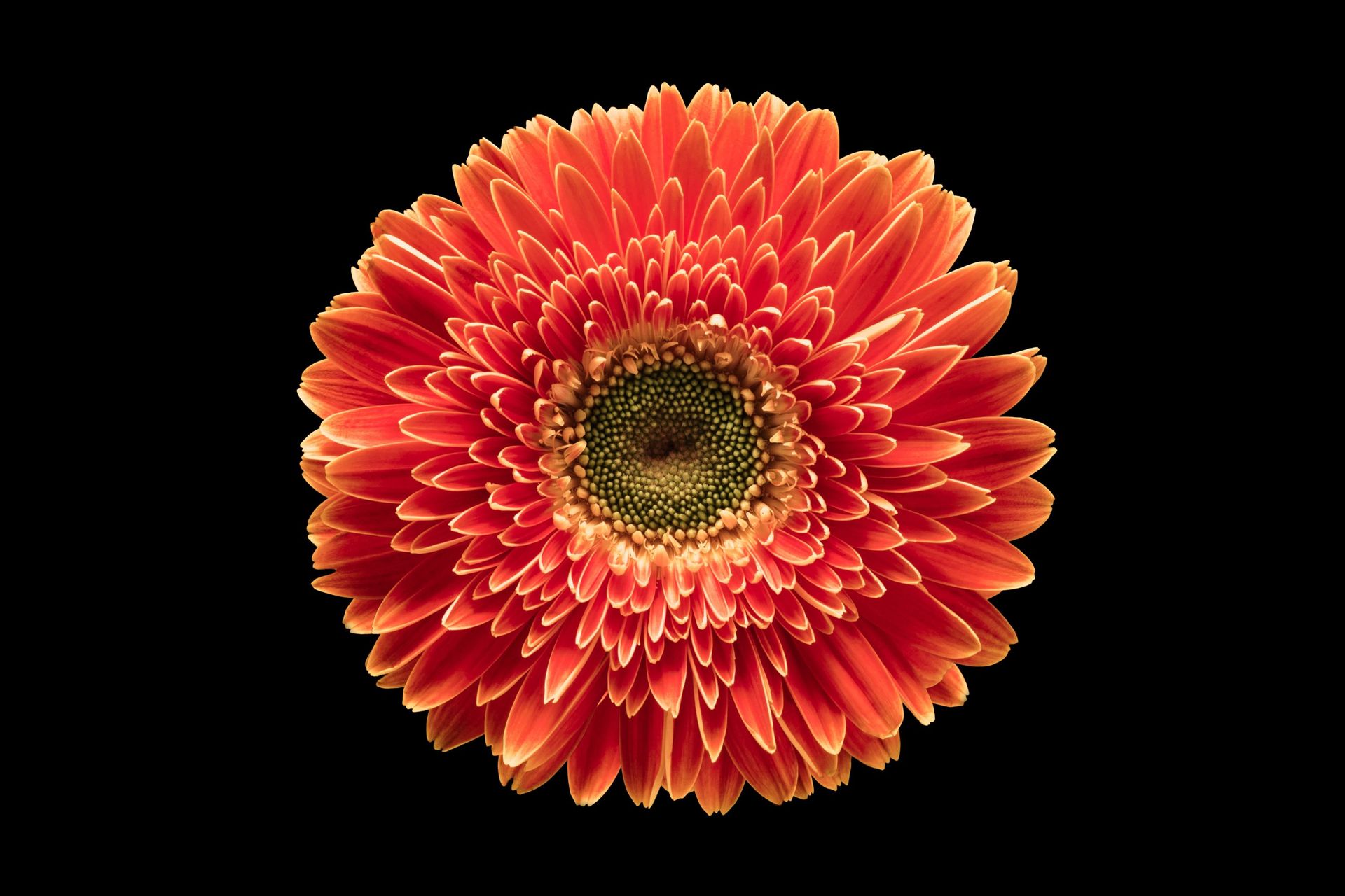 Qu'est-ce que la symétrie ? Découvre-le grâce à Viens, je t'explique ! - RTBF Actus