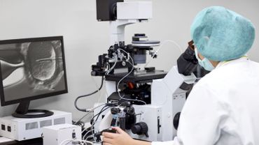 L'électromyogramme : où le faire et à quoi ça sert ? - RTBF Actus