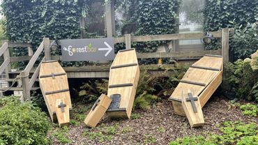 On a testé pour vous le Parc Forestia à Theux - RTBF Actus