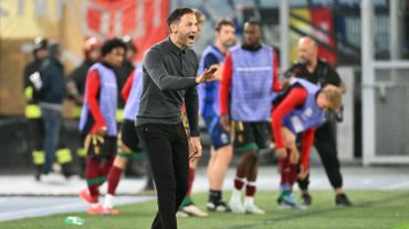 Le calendrier des Diables Rouges vers le Mondial 2026 est connu, la ...