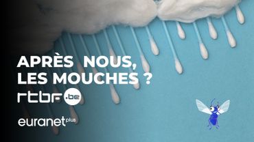 Le sac bleu : toutes ces choses que vous pouvez désormais mettre dans ...