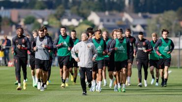 Les chiffres des Diables rouges : Openda et Lukaku voient double ...