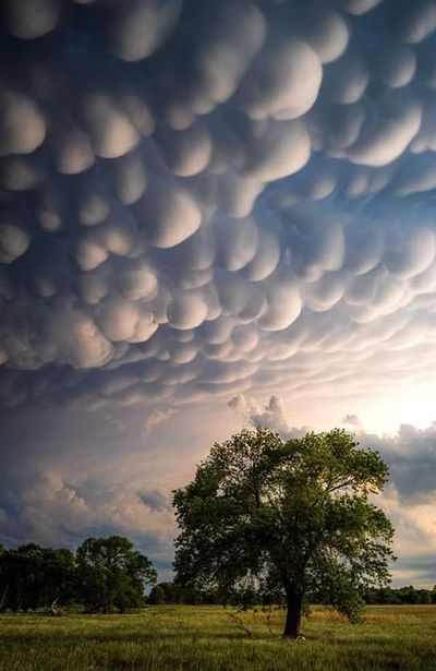 De cumulus à stratus : quelles sont les principales familles de nuages ...