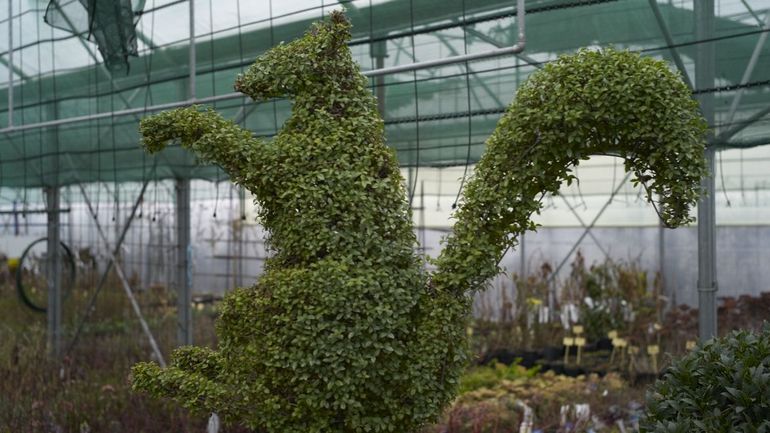 Les topiaires de Luc Henry... quand revoir cette séquence, et les ...