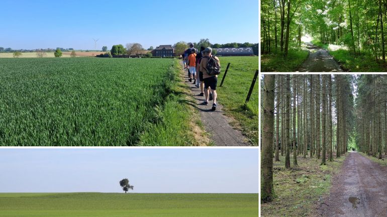 Les 24 marches Adeps du dimanche 15 juin en Wallonie - RTBF Actus