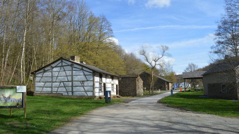 Découvrez le Domaine provincial du Fourneau Saint-Michel à Saint-Hubert ...
