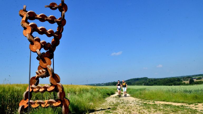 Les marches Adeps 'les points verts' : une activité pour tous qui fait ...