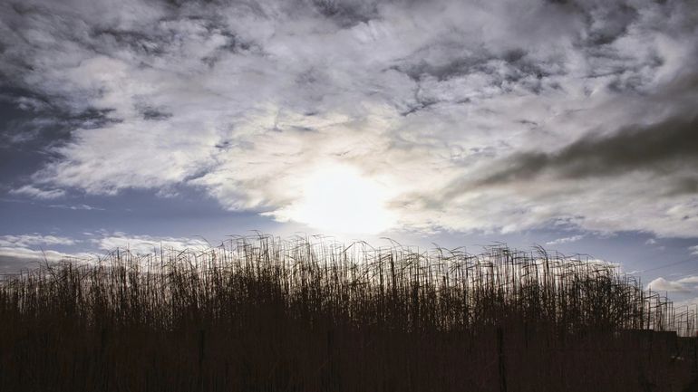 Des pistes cyclables bondées quand il fait beau… et vides quand il ...