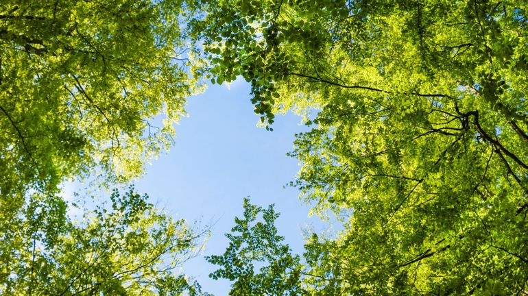 Des pistes cyclables bondées quand il fait beau… et vides quand il ...